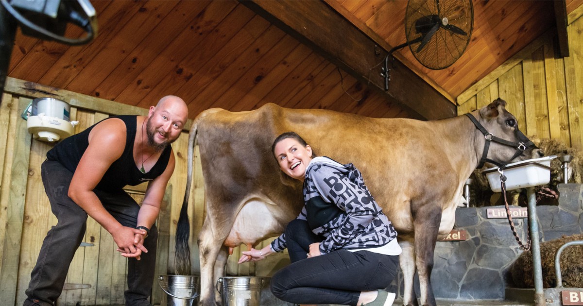 Unique New Zealand Farm Experience | Agrodome Rotorua