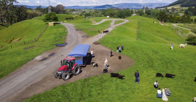 Farm Tour | Agrodome Rotorua