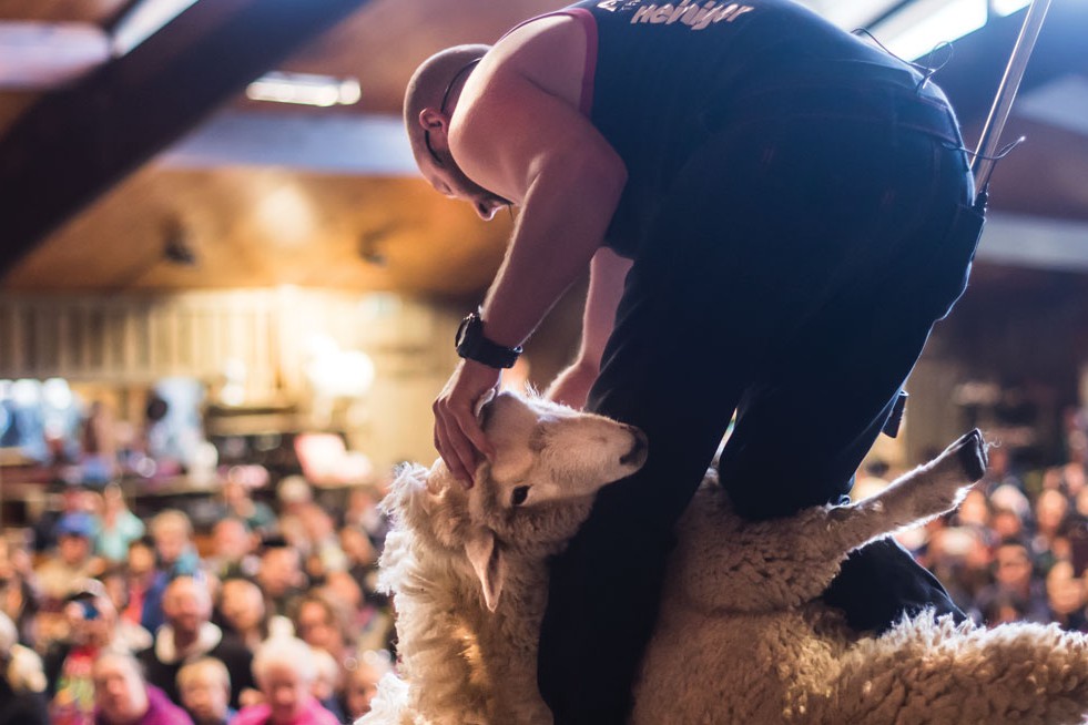 Hours & Prices | Book Now for Agrodome Rotorua