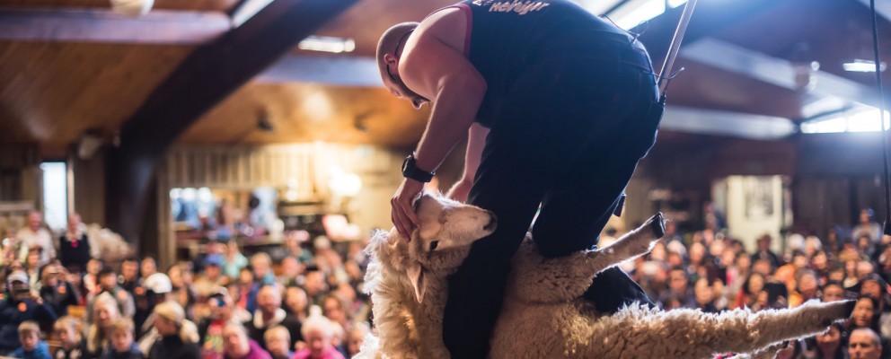 Hours & Prices | Book Now for Agrodome Rotorua