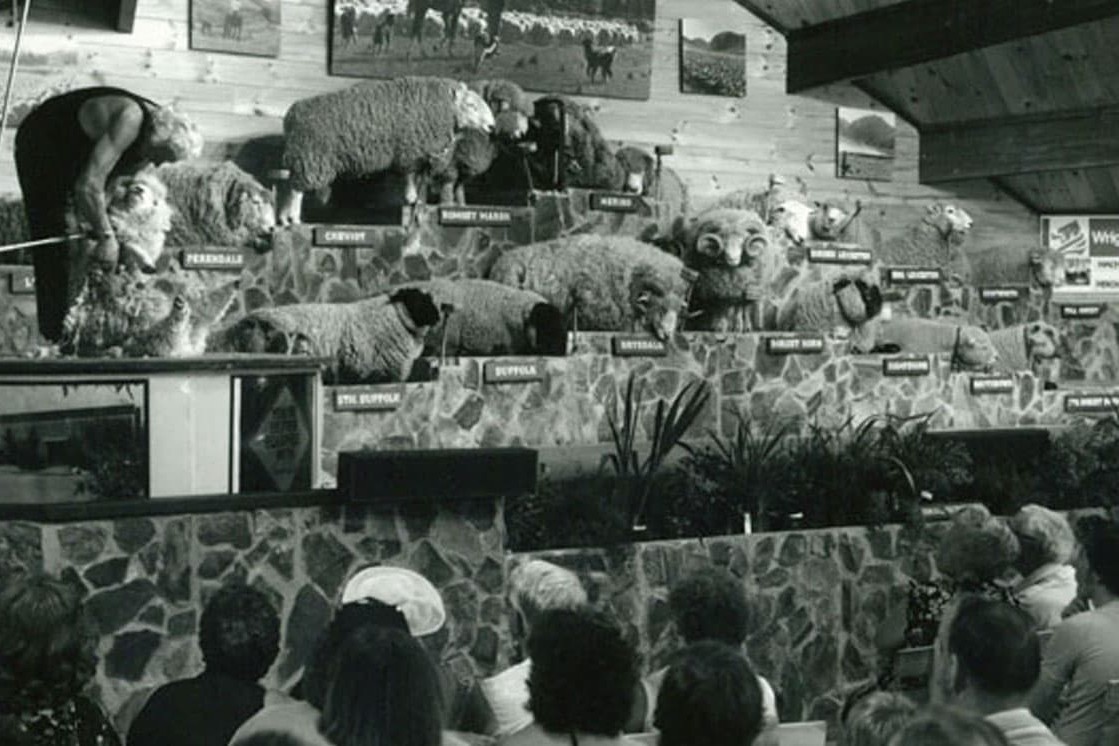 Our Story | The History of Agrodome